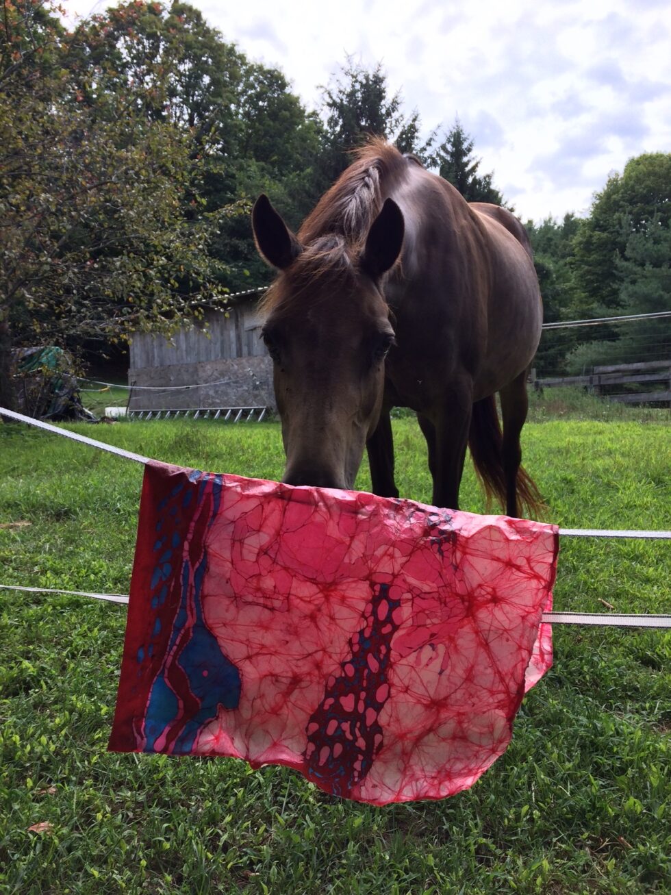 Tutorial Archives - Amity Farm Batik